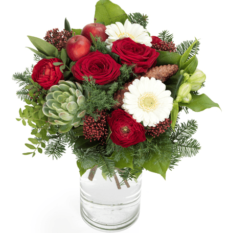 Send en juleblomst online til en de nærmeste - Læs mere DagligvarerNettet